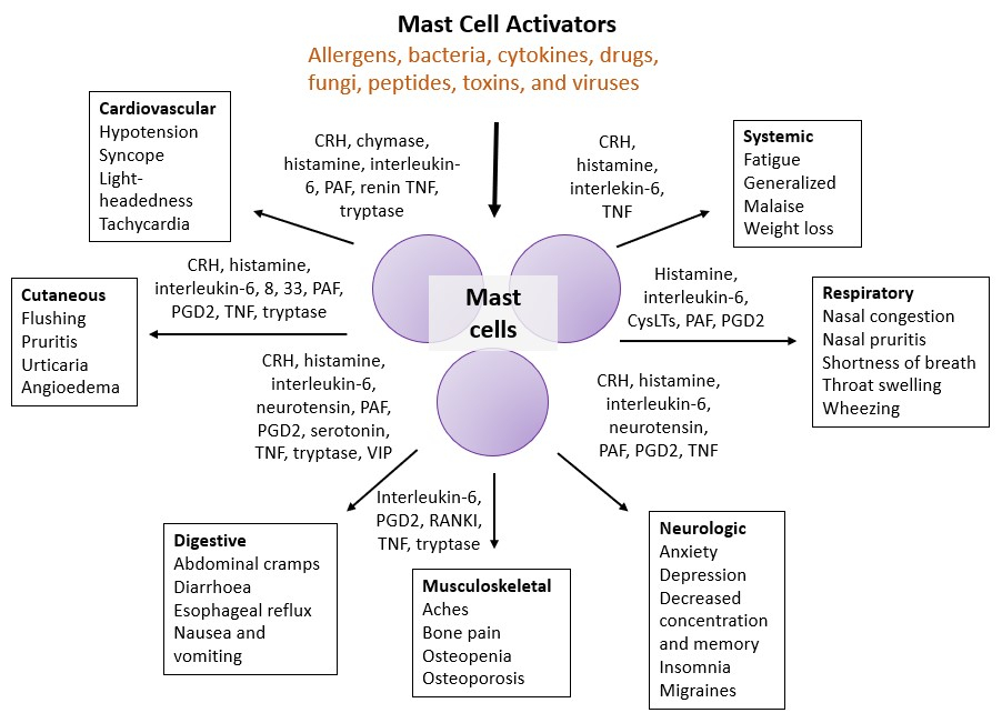 Resources | Mast Cell Action Resources | Mast Cell Action